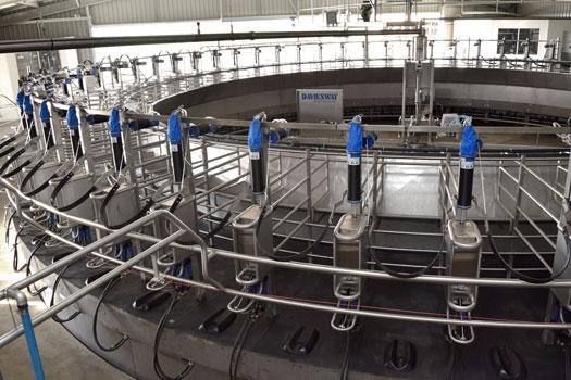 Rotary Dairy, Rotary Milking System, Daviesway Rotary, DairyKing ...